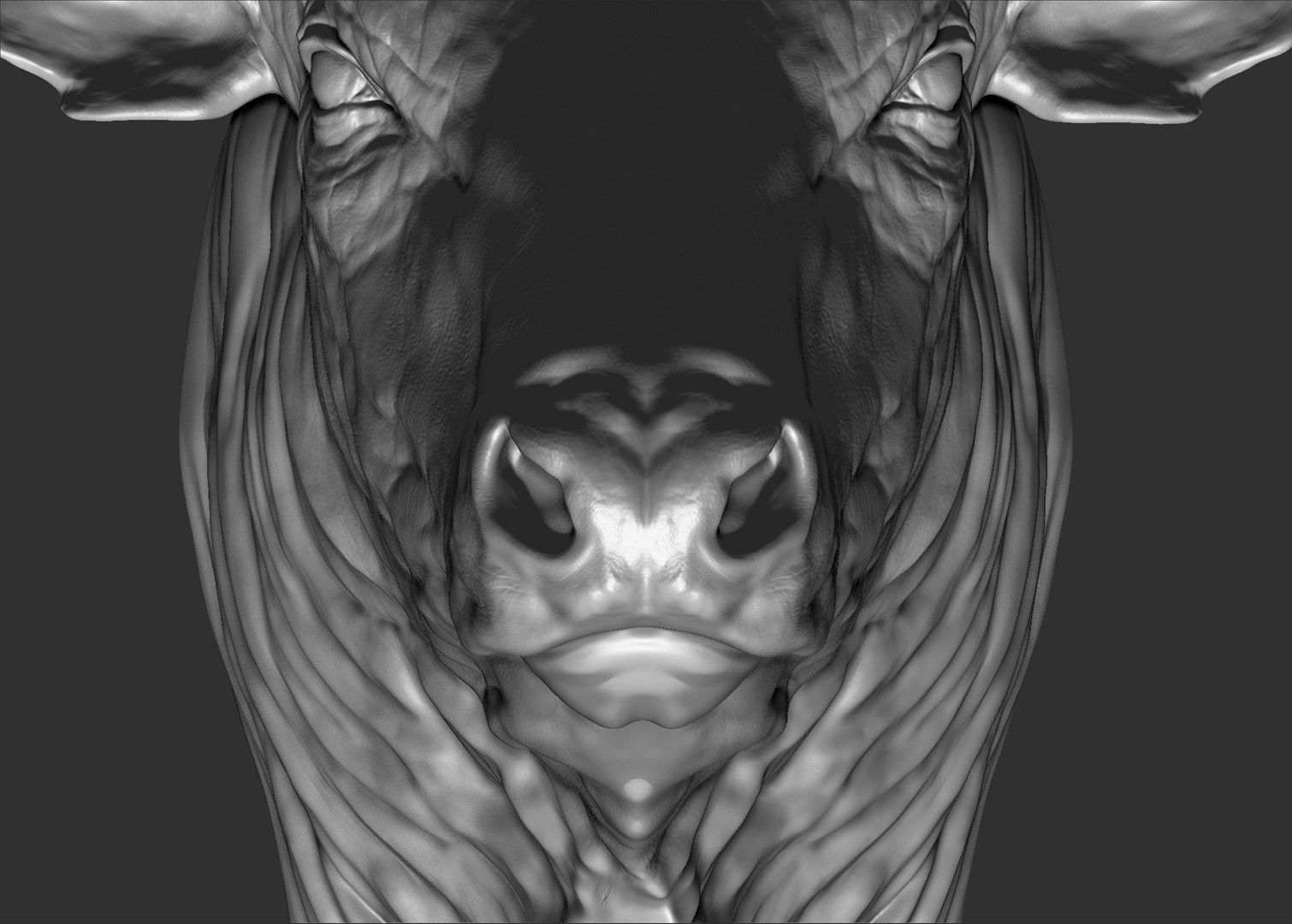 Bull Head 3D Model - TurboSquid 1764747