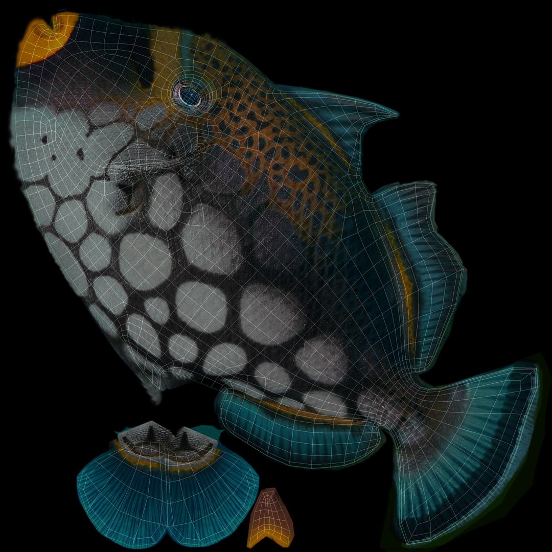 Clown triggerfish 3D - TurboSquid 1313242