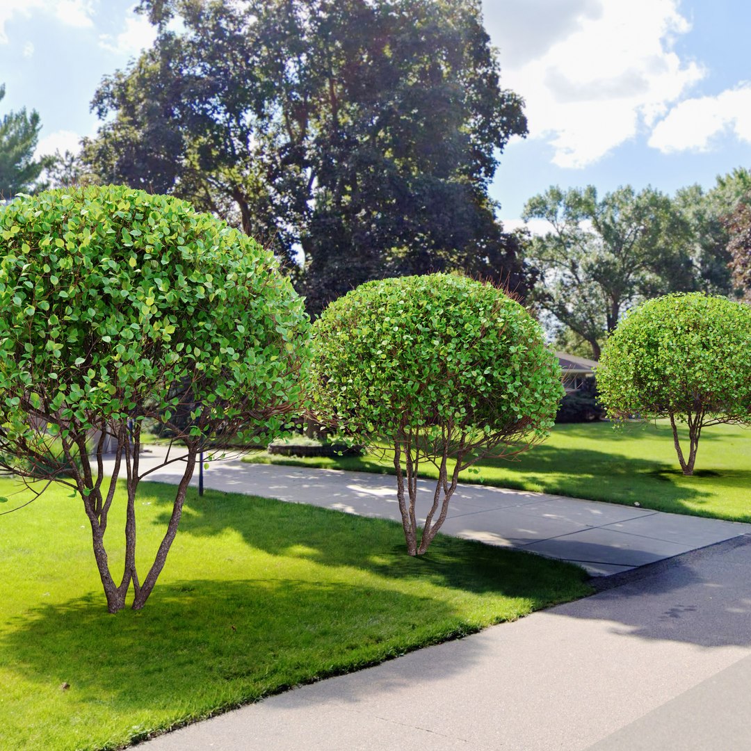 Sphere Shaped Trees 3D Model - TurboSquid 1936679