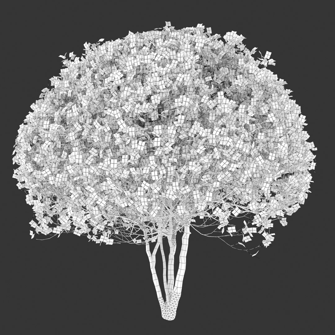 Sphere Shaped Trees 3D Model - TurboSquid 1936679
