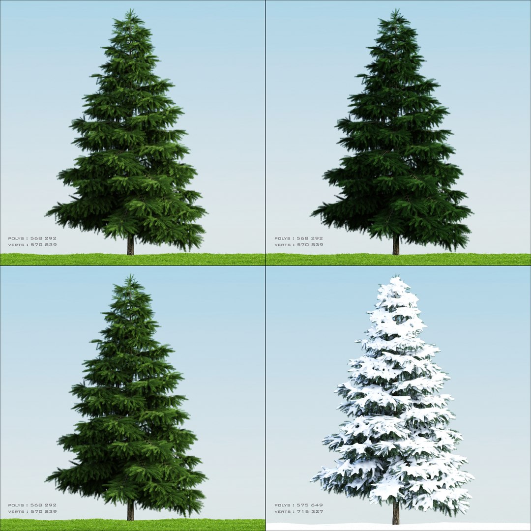 4 Season Tree Pine003 3d Obj
