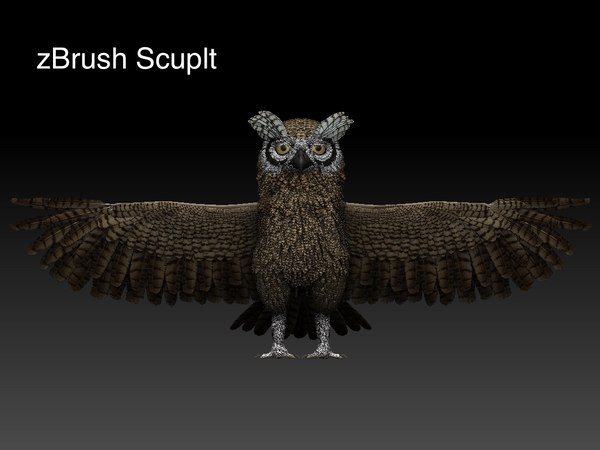 3D модель Rigged Animated Realistic Owl 3D - TurboSquid 1486822
