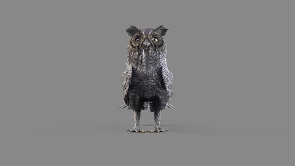3D модель Rigged Animated Realistic Owl 3D - TurboSquid 1486822