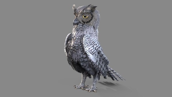 3D модель Rigged Animated Realistic Owl 3D - TurboSquid 1486822