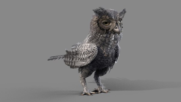 3D модель Rigged Animated Realistic Owl 3D - TurboSquid 1486822