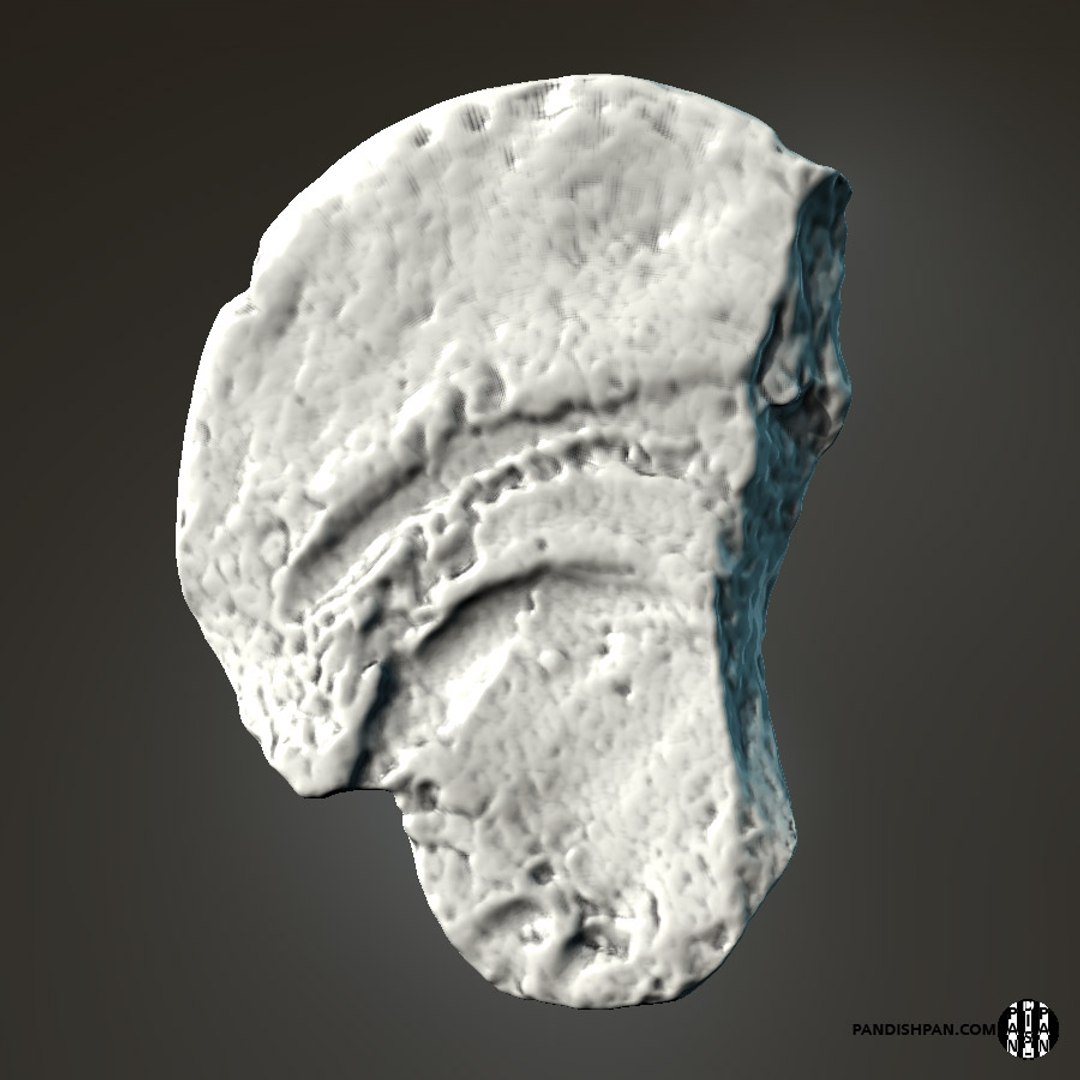Free Scan Head 3d Model