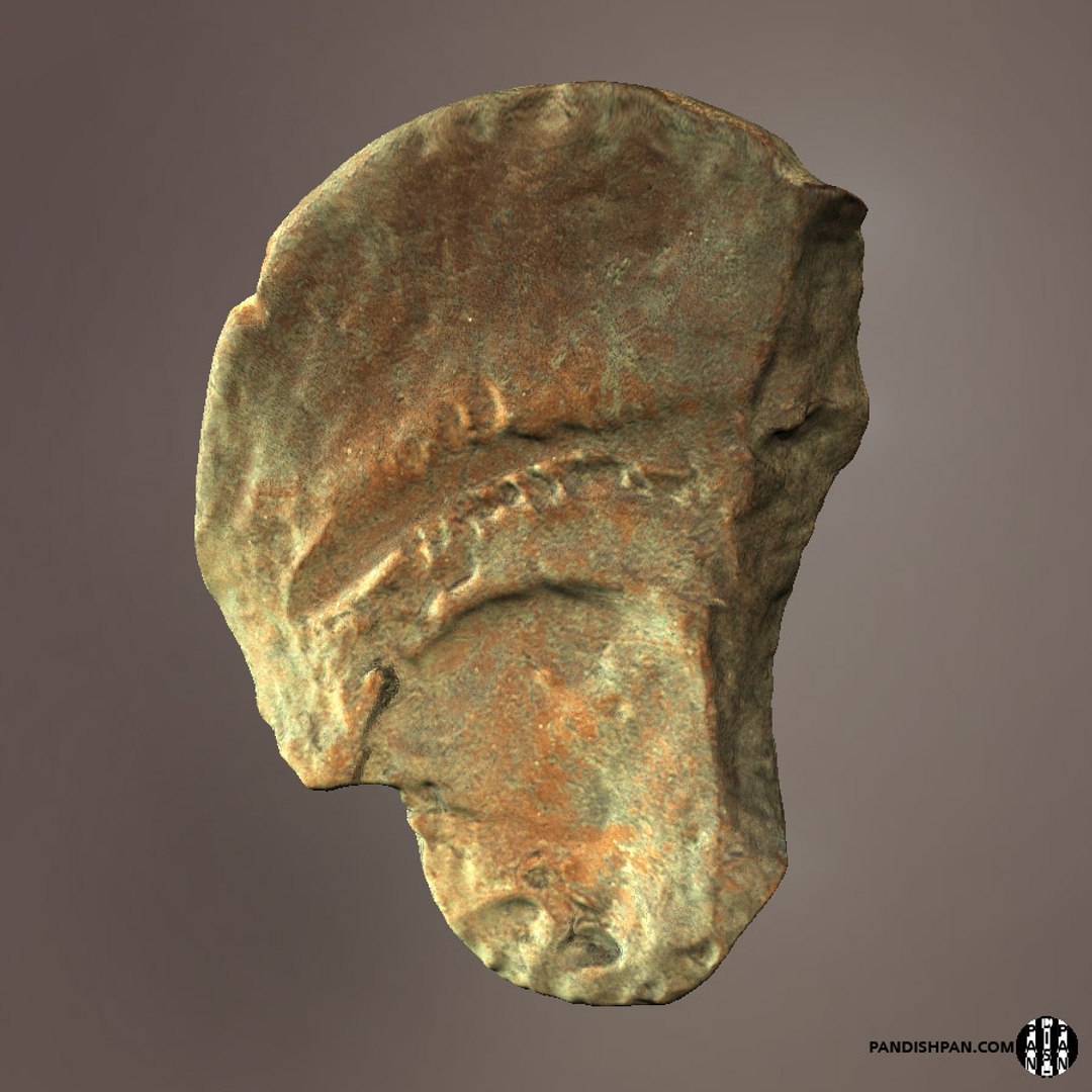 Free Scan Head 3d Model