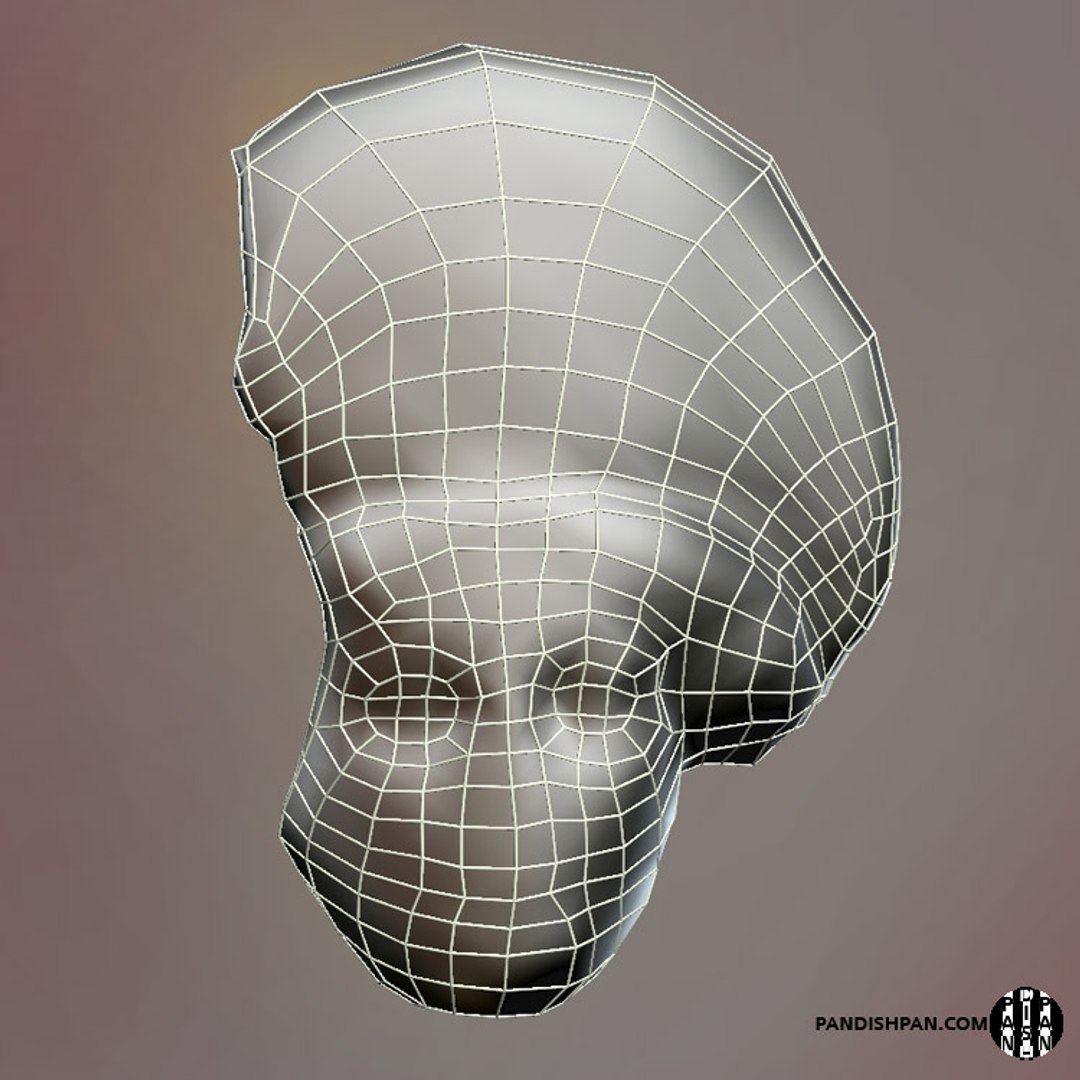 Free Scan Head 3d Model