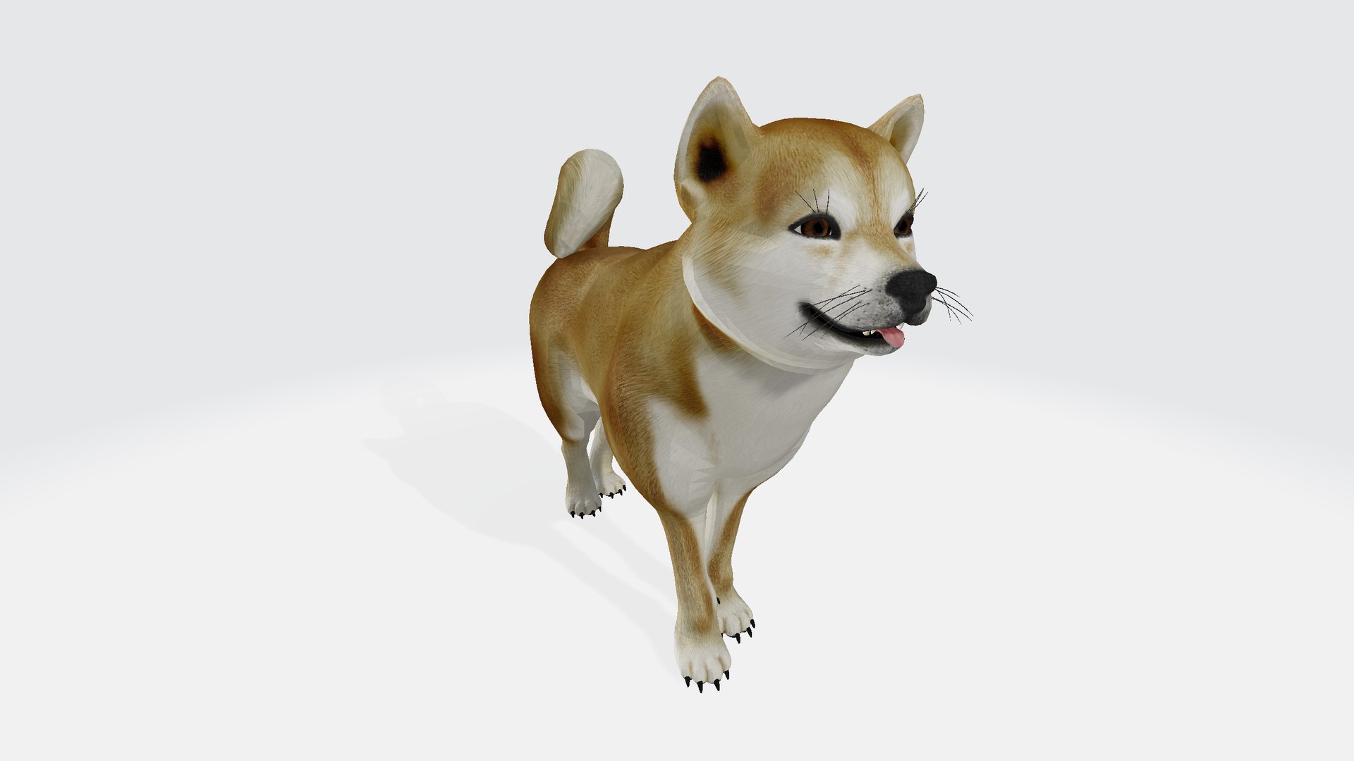 Shiba Inu Dog 3D Model - TurboSquid 1808044