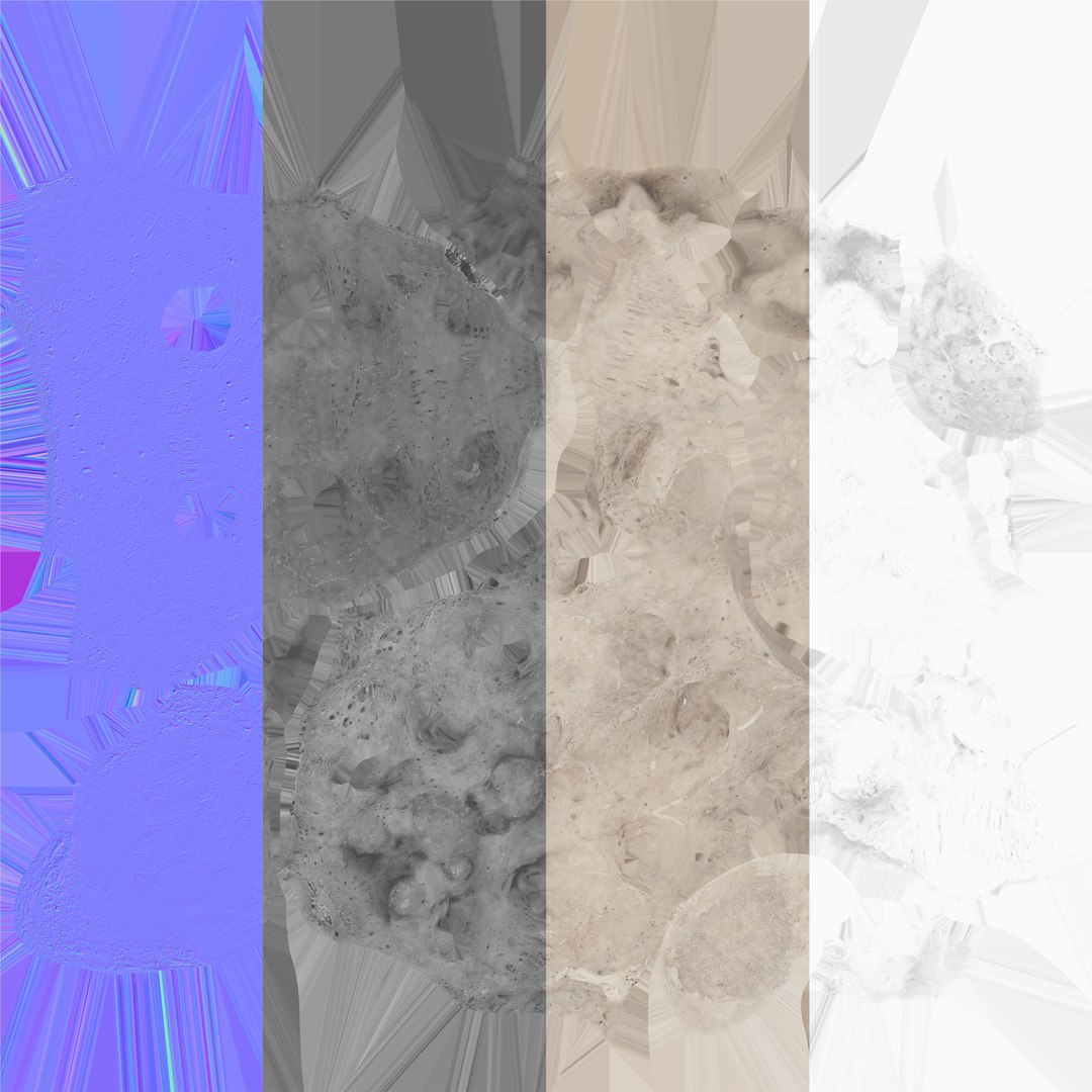 3D Human Pelvis Damaged Sacrum Model - TurboSquid 1546713