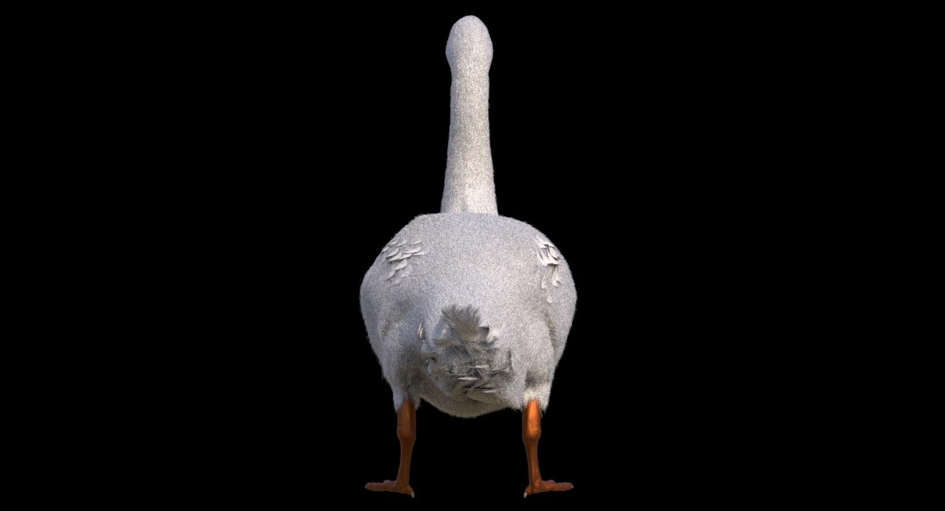 Swan Fur Hair Xgen 3D Model - TurboSquid 1403005