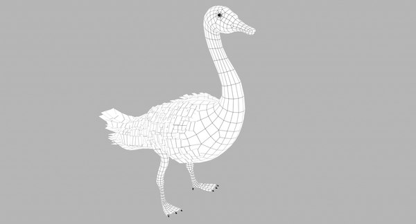 Swan fur hair xgen 3D model - TurboSquid 1403005