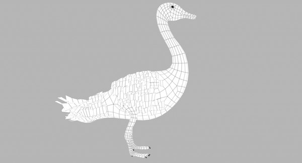 Swan fur hair xgen 3D model - TurboSquid 1403005
