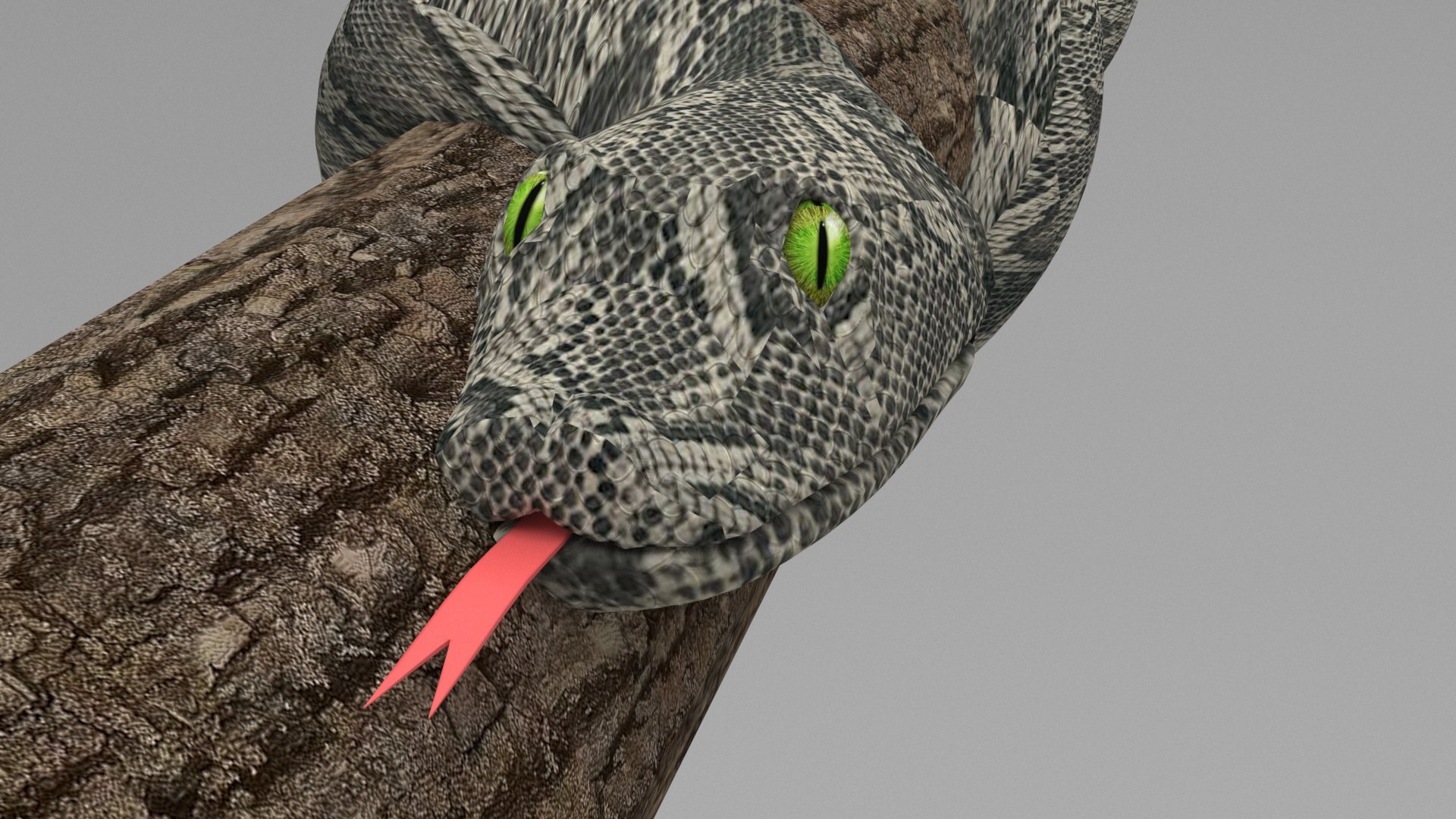 Snake 3D Model - TurboSquid 1633596