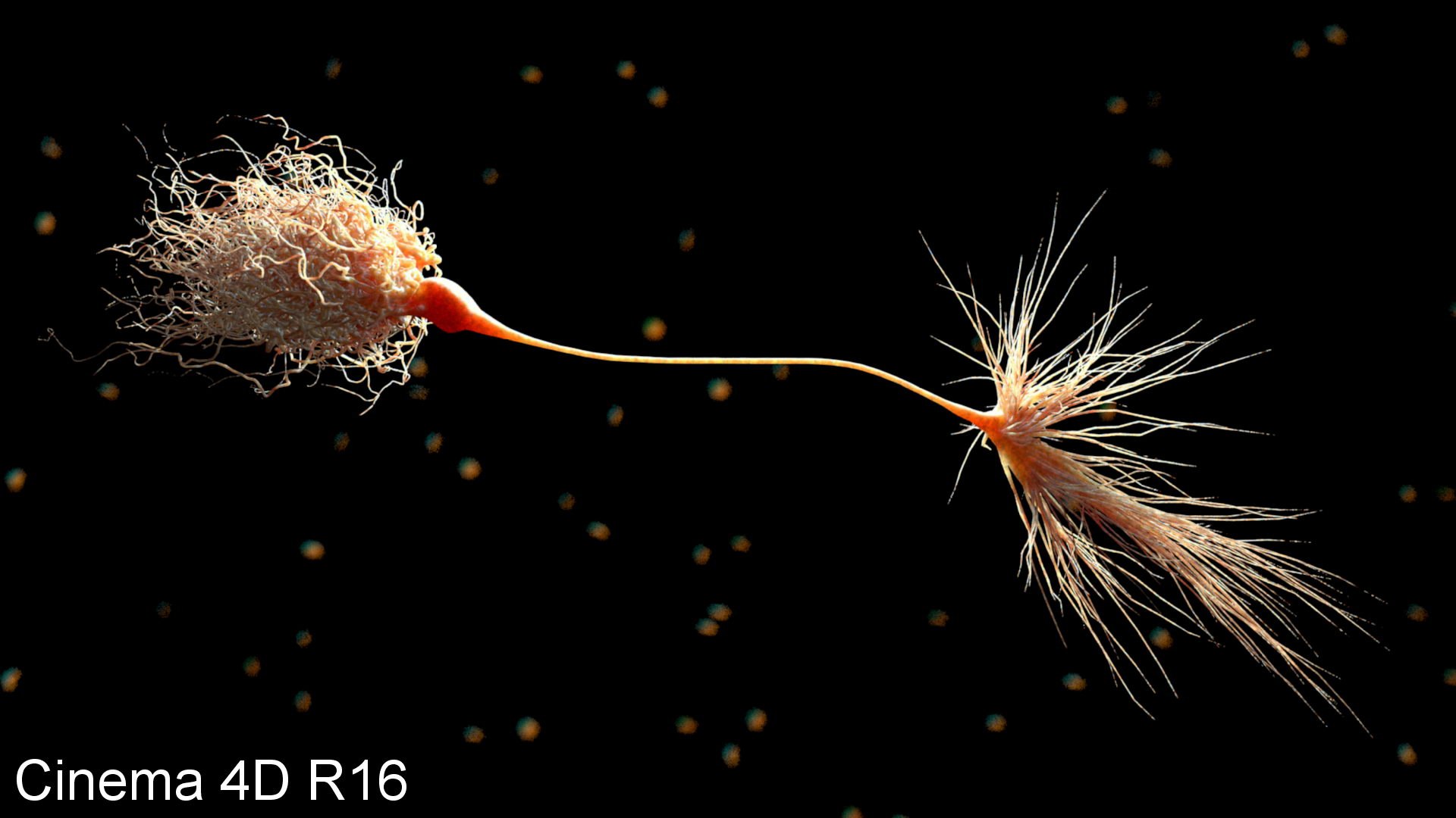 3d Model Neuron