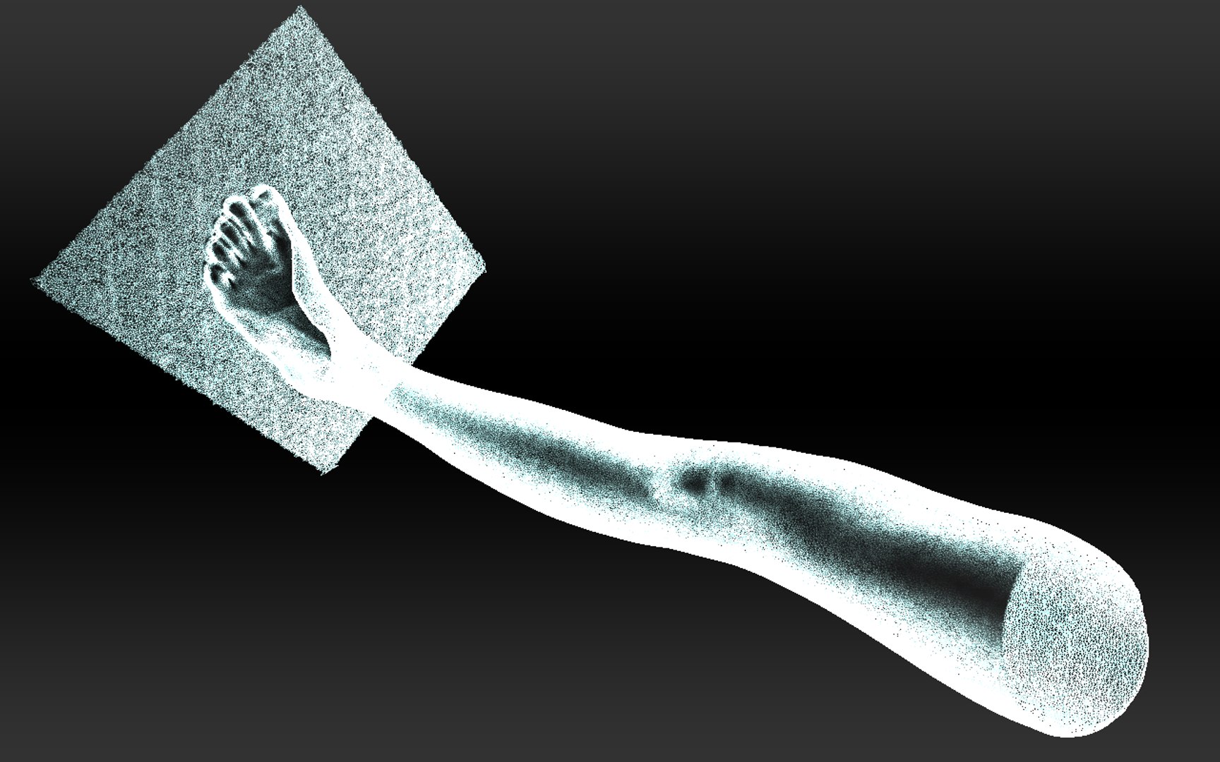 Human Leg 3D Scan High Quality 3D - TurboSquid 1784072