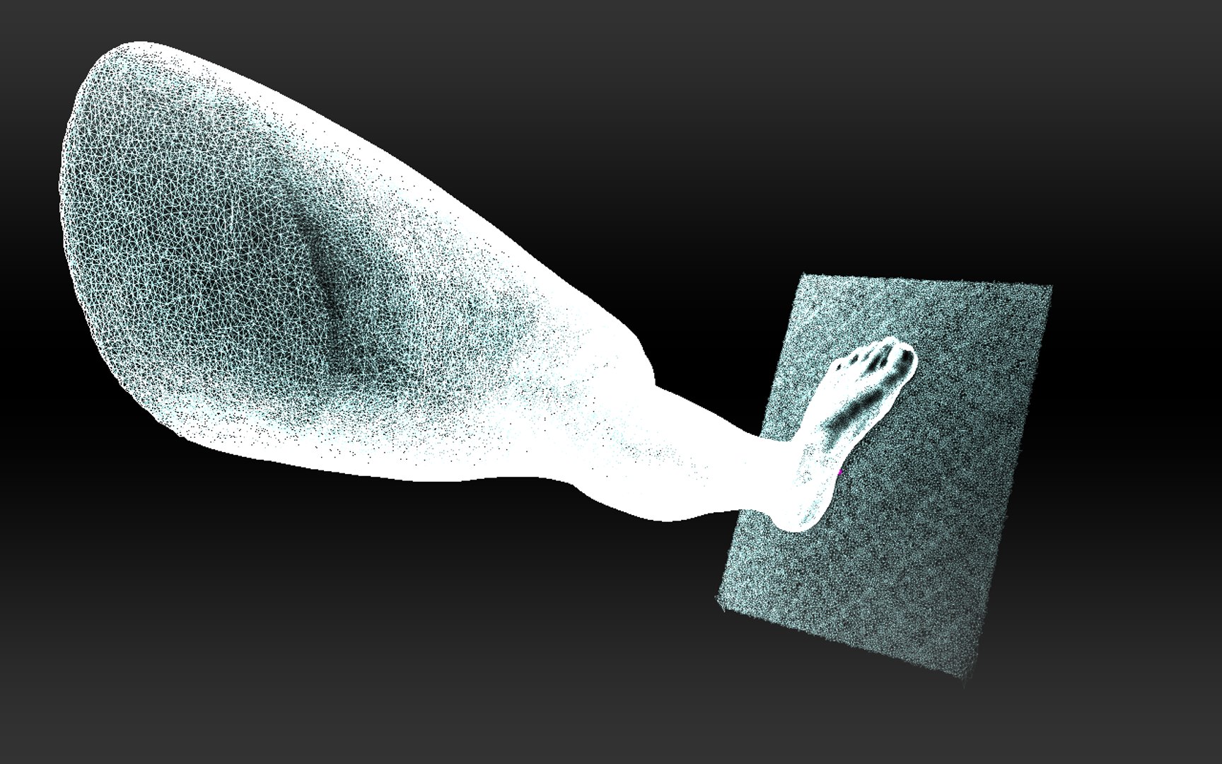 Human Leg 3D Scan High Quality 3D - TurboSquid 1784072