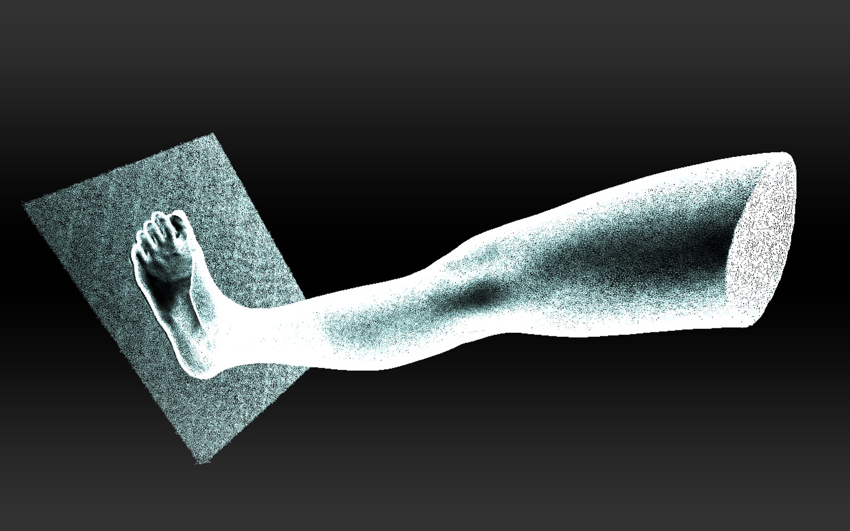 Human Leg 3D Scan High Quality 3D - TurboSquid 1784072