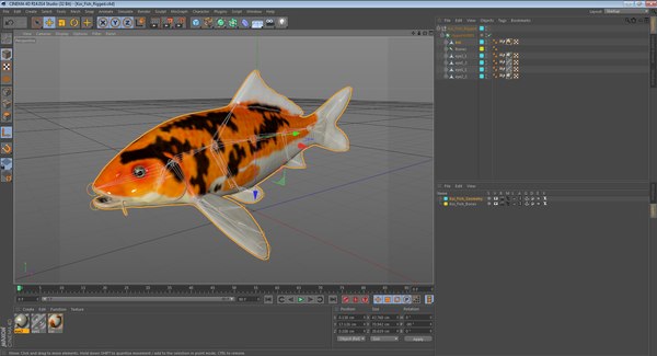 modelo 3d Koi Fish Rigged para Cinema 4D - TurboSquid 1153873
