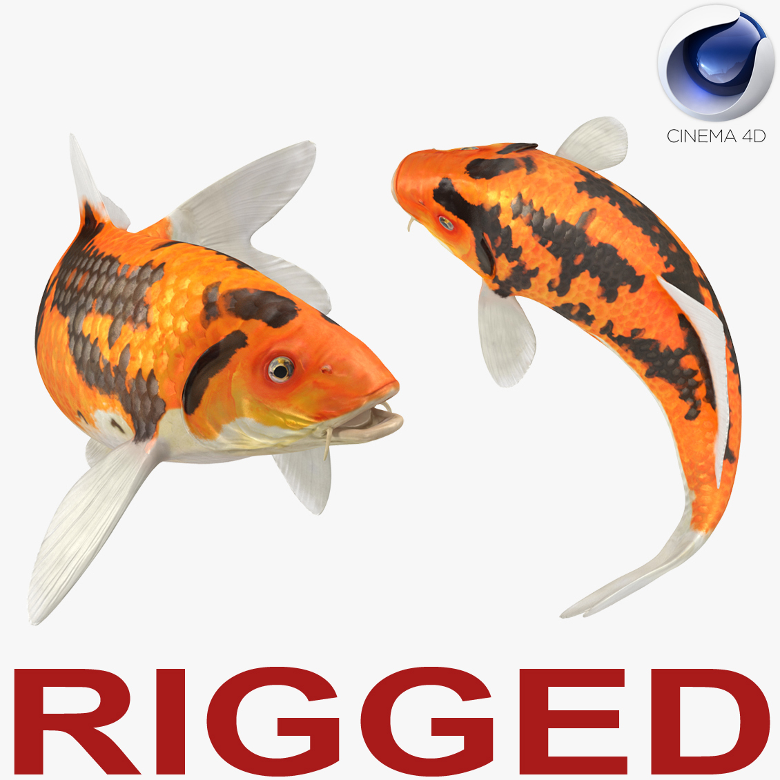 Koi fish rigged 3D model - TurboSquid 1153873