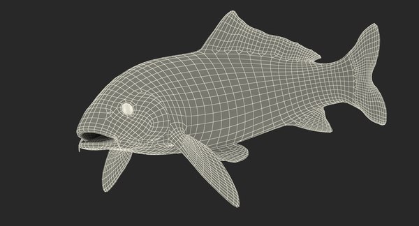 modelo 3d Koi Fish Rigged para Cinema 4D - TurboSquid 1153873