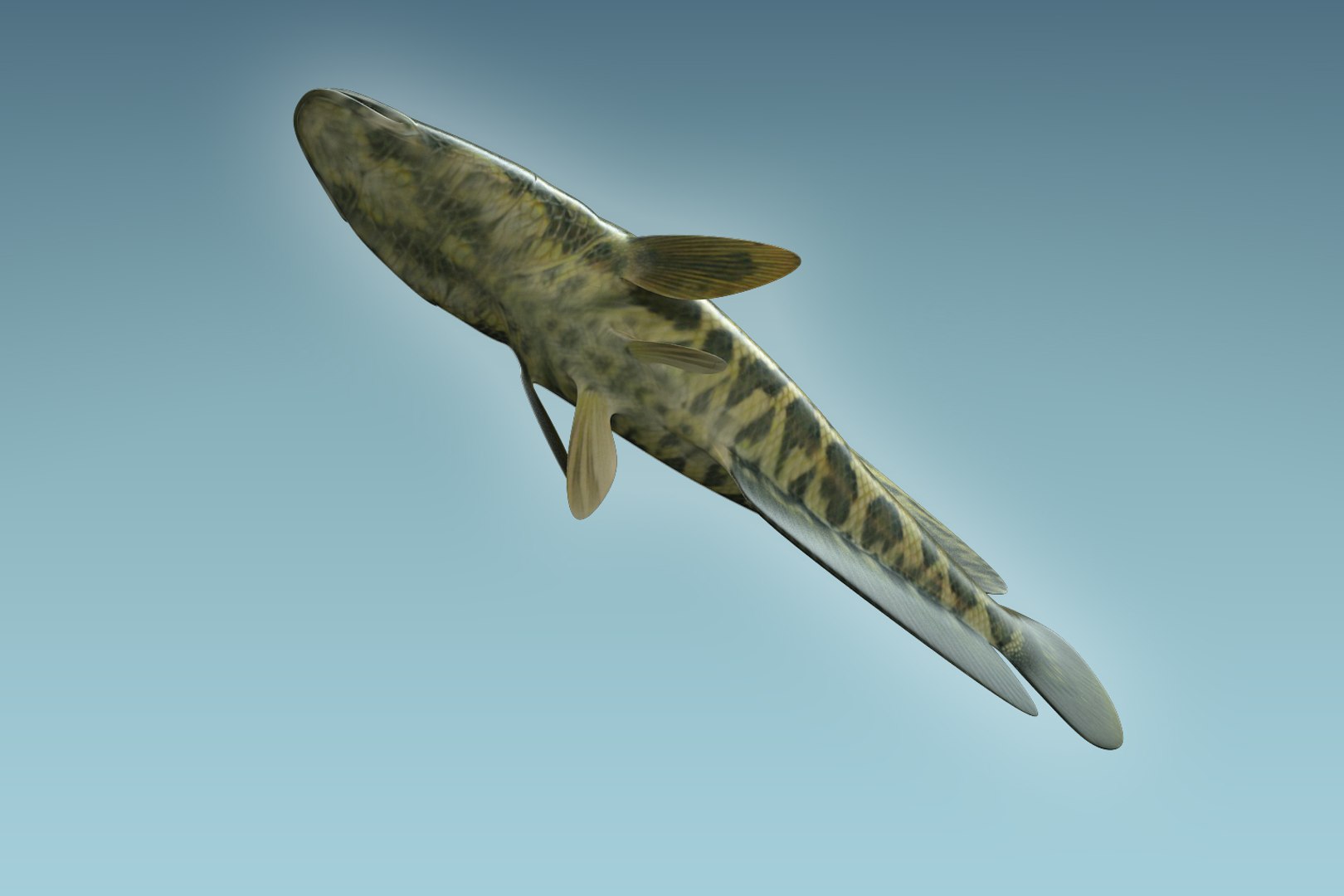 Snake head 3D model - TurboSquid 1202258