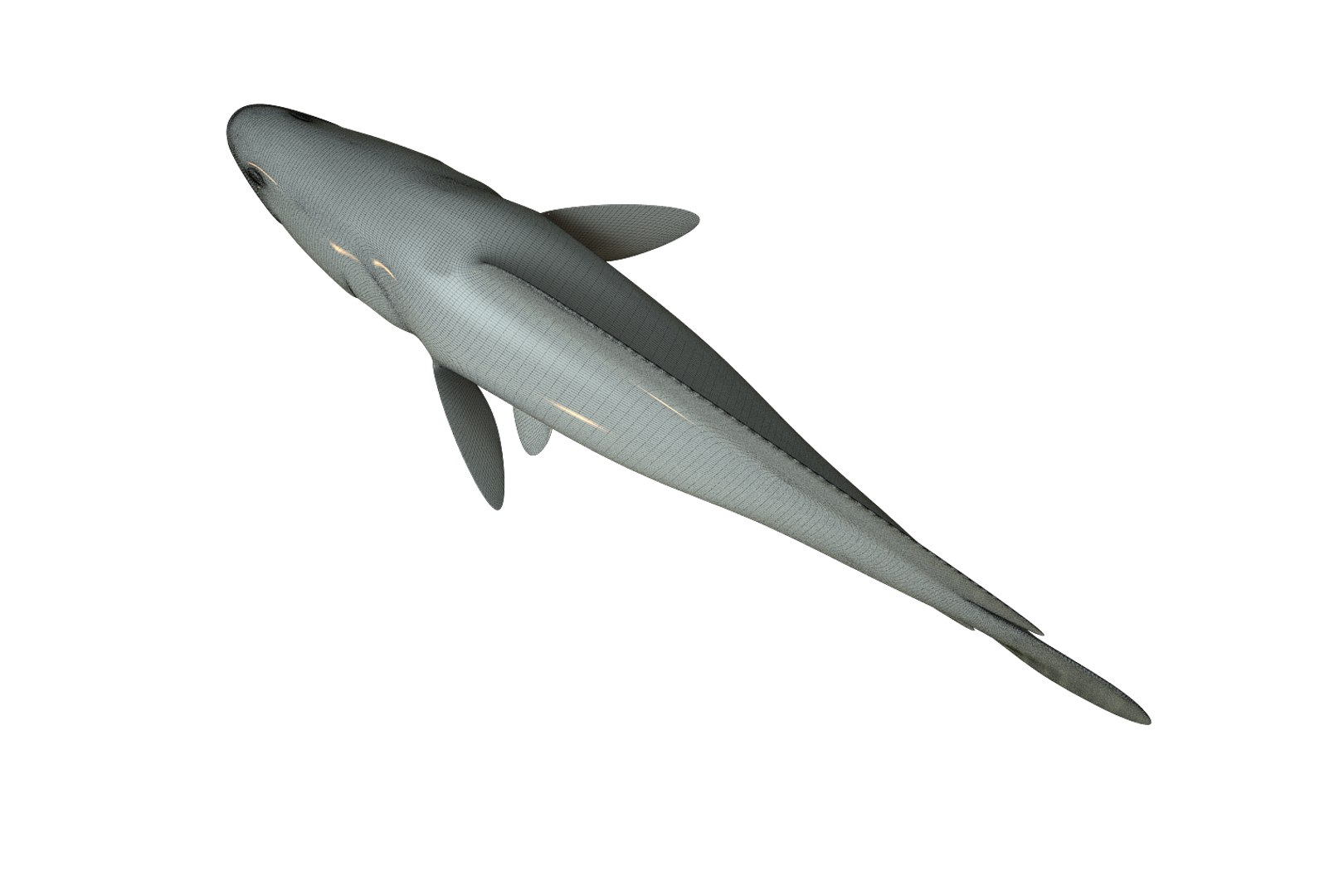 Snake head 3D model - TurboSquid 1202258