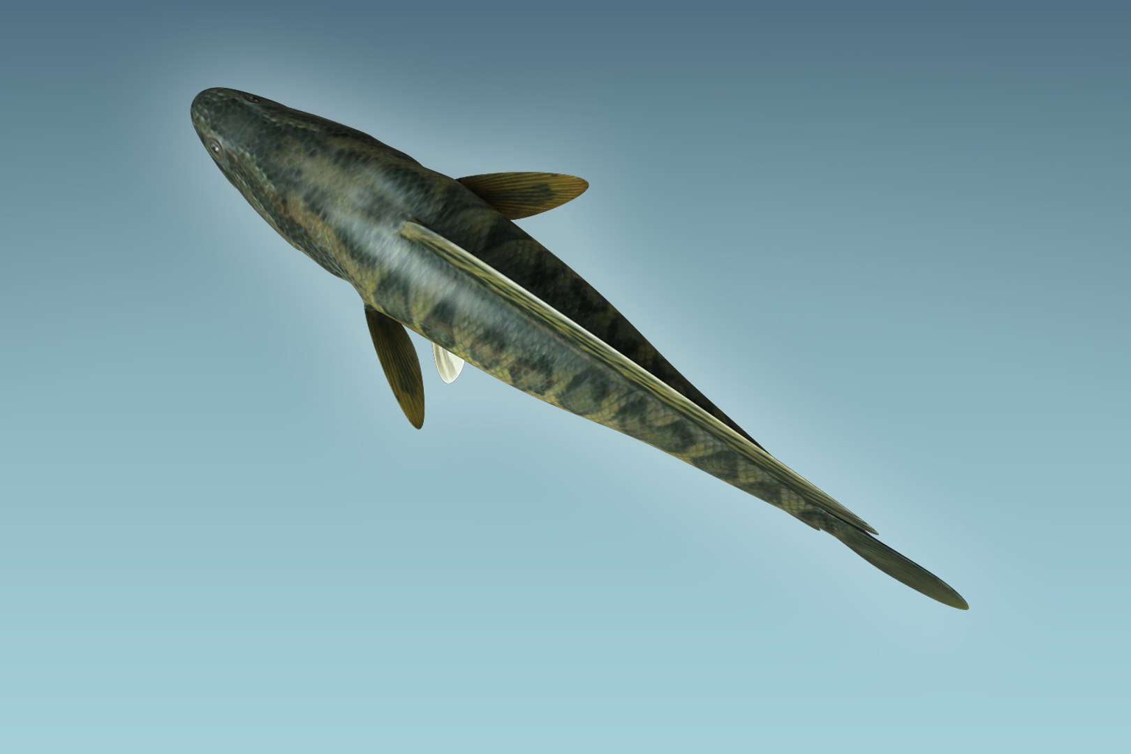 Snake head 3D model - TurboSquid 1202258