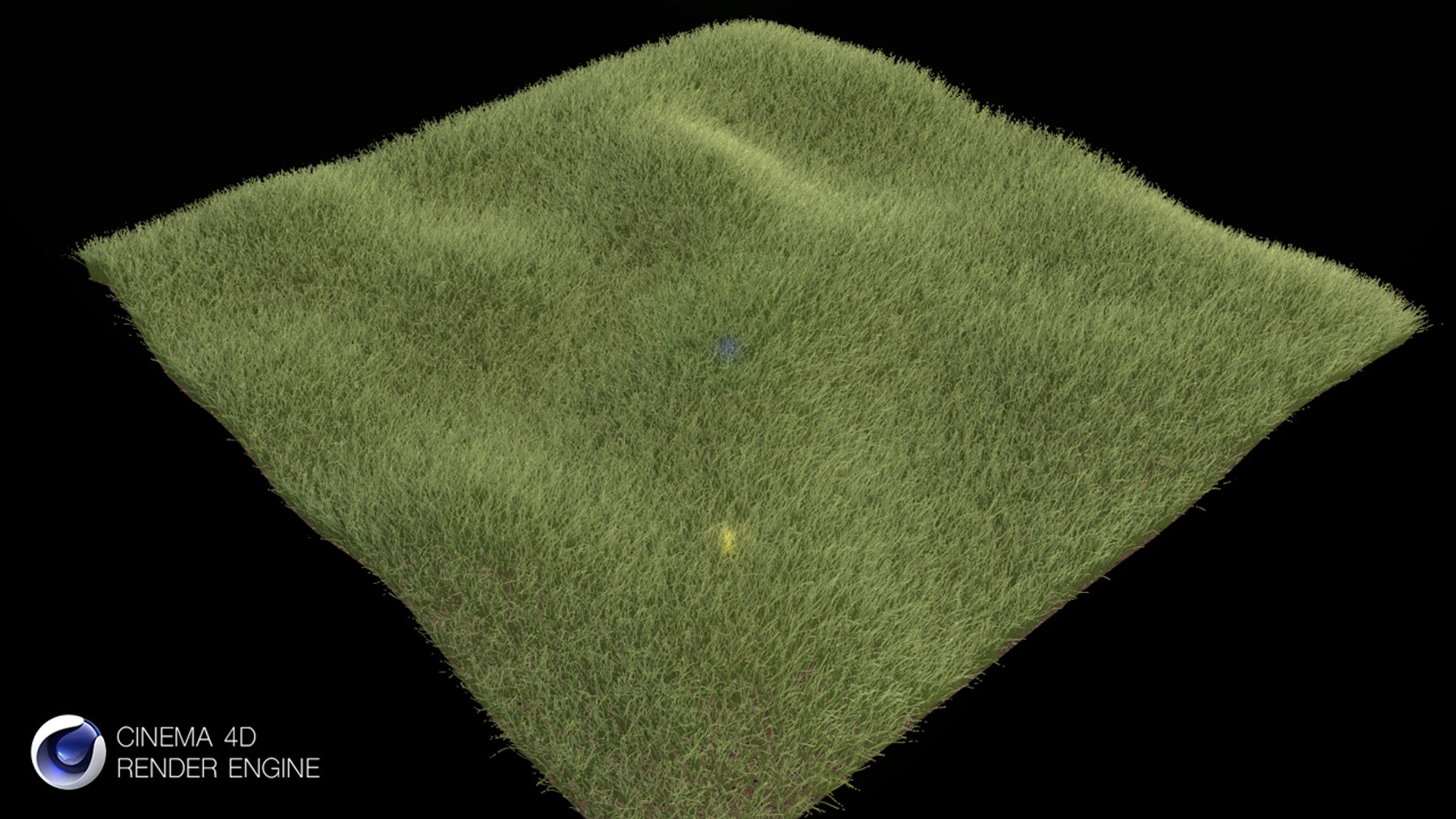 Realistic grass 3D model - TurboSquid 1315091