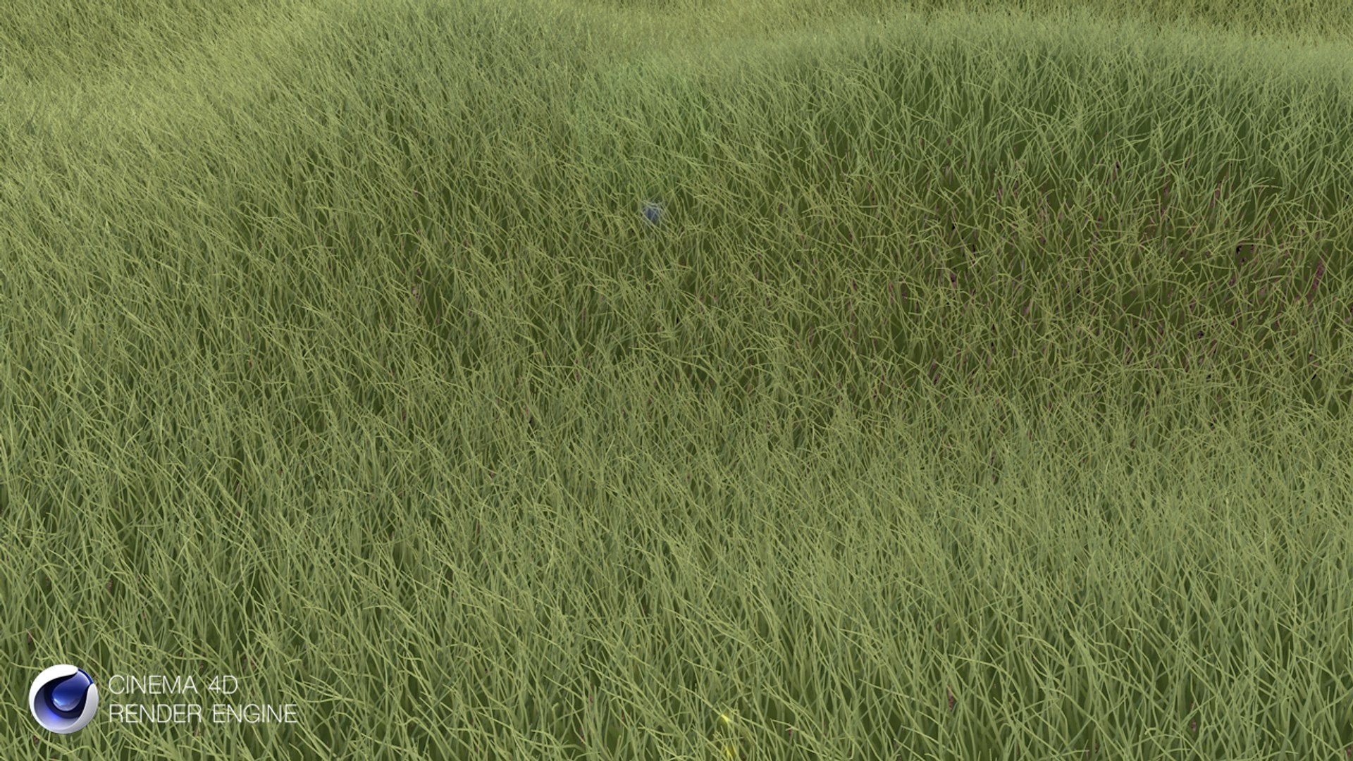 Realistic grass 3D model - TurboSquid 1315091