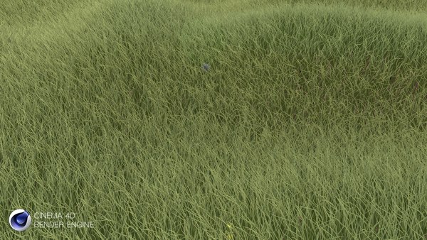 Realistic grass 3D model - TurboSquid 1315091