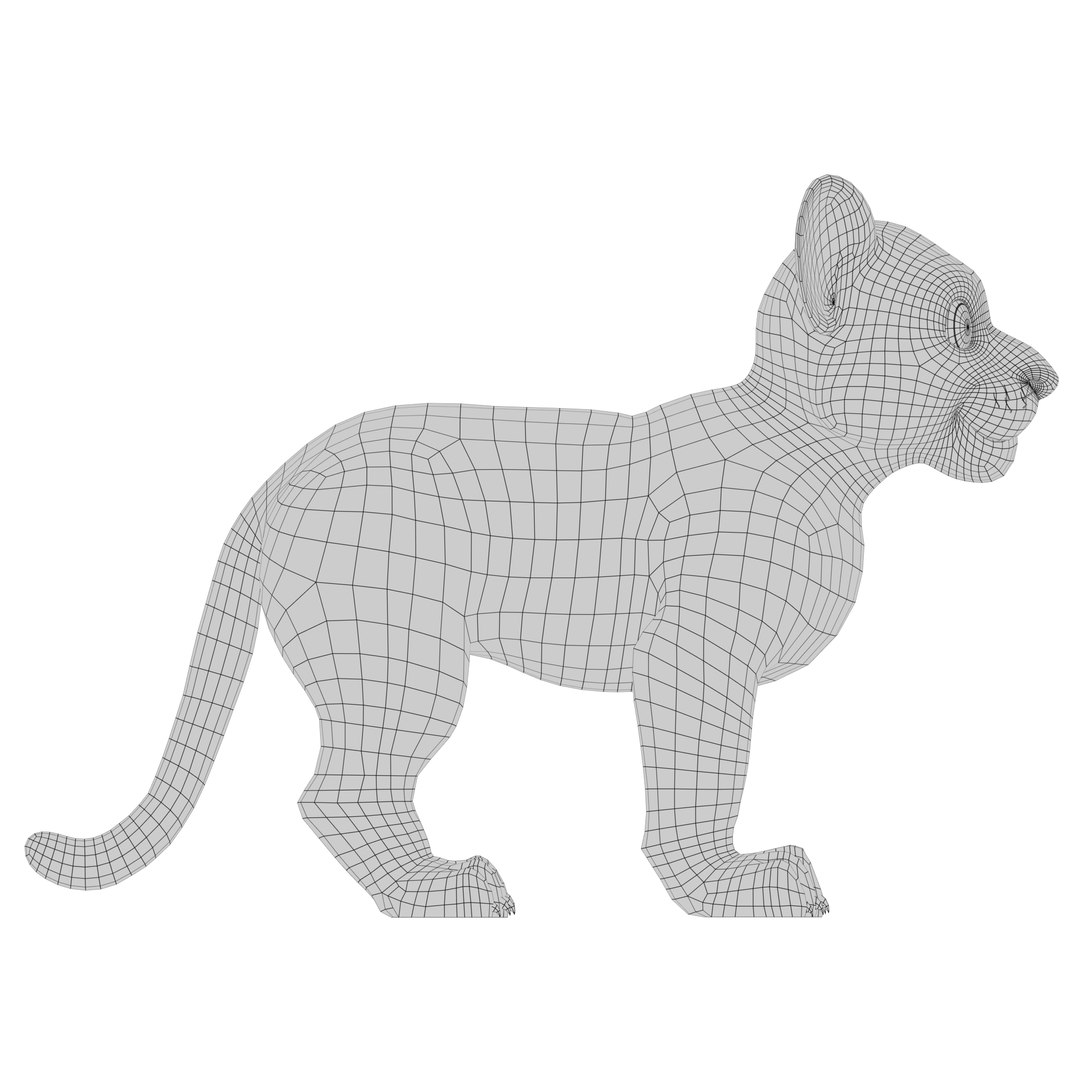 Tiger Cub 3D Model - TurboSquid 1698775