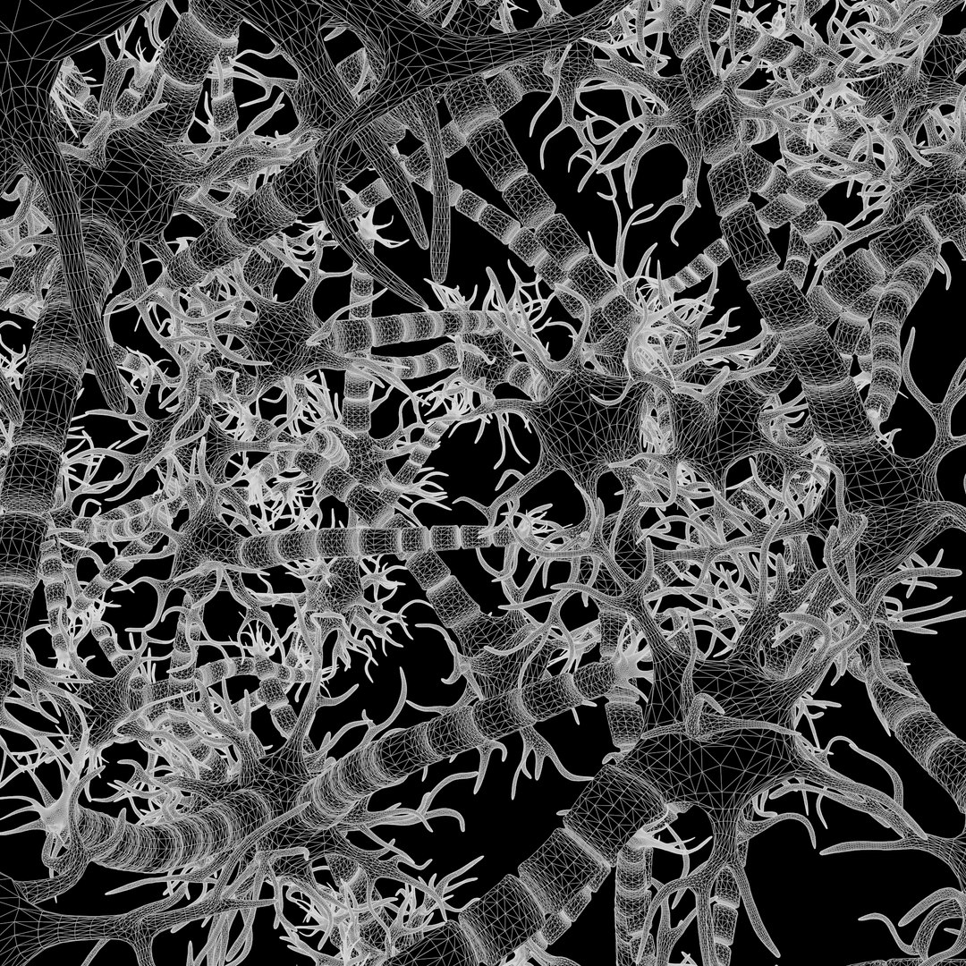 3D Neuron Nerve Cell Anatomy In Details - TurboSquid 1790016