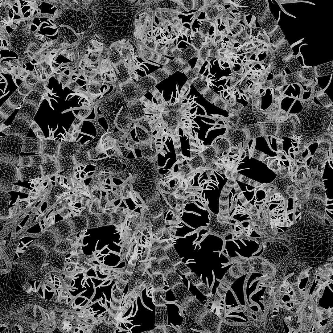 3D Neuron Nerve Cell Anatomy In Details - TurboSquid 1790016