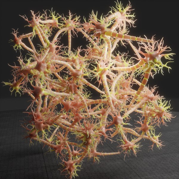 3D model nerve cell anatomy details - TurboSquid 1515693