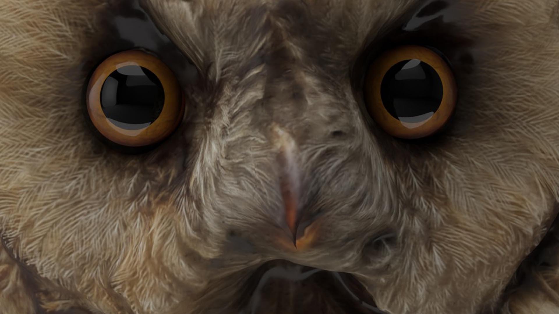 3D Photorealistic Long Eared Owl - TurboSquid 1931320