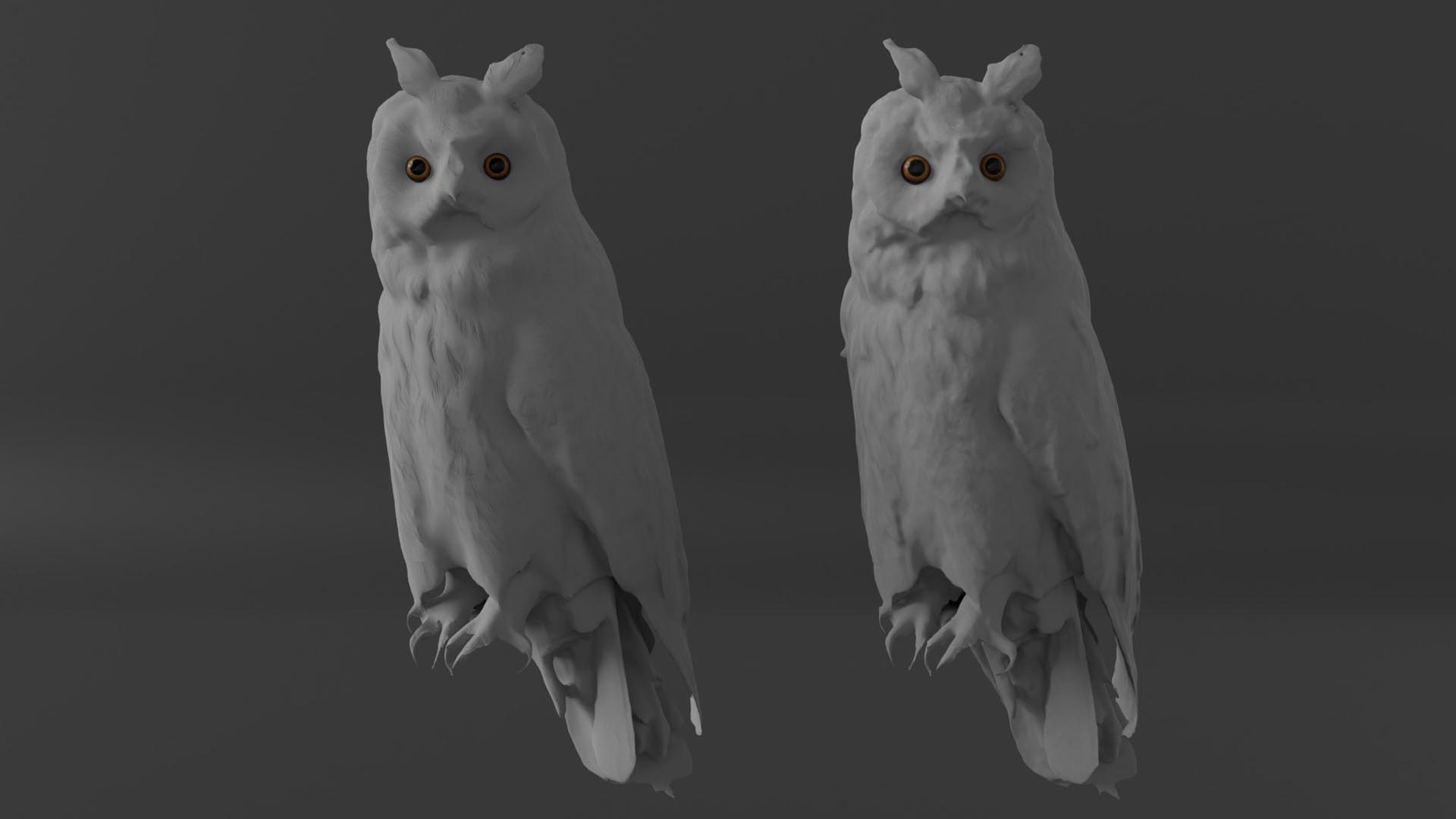 3D Photorealistic Long Eared Owl - TurboSquid 1931320
