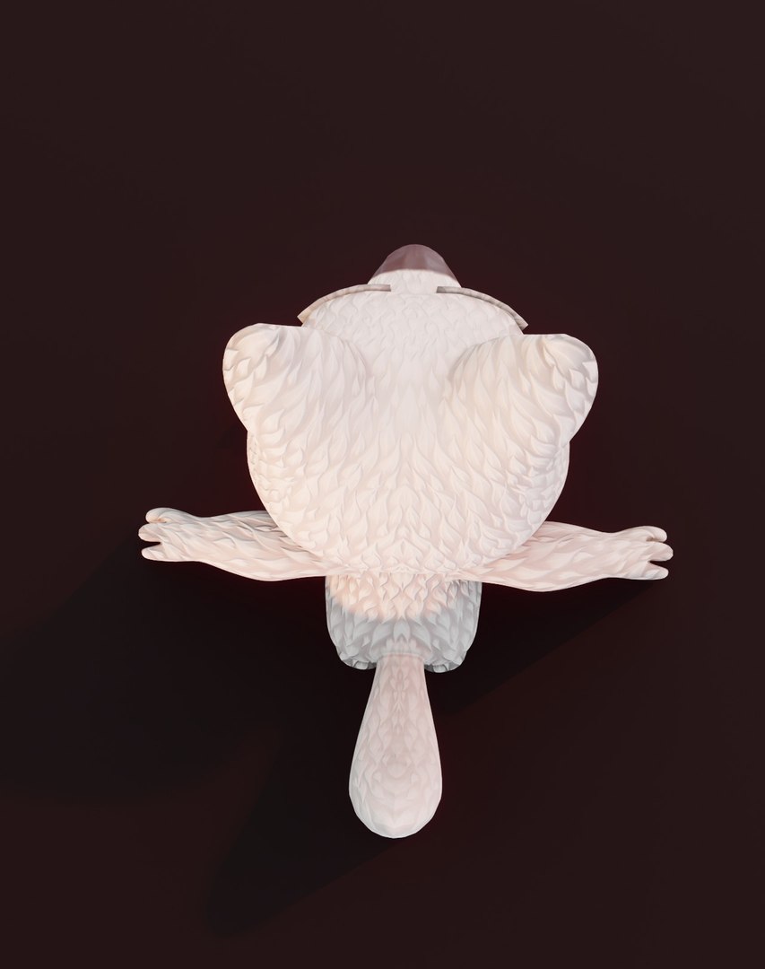 3D Cartoon White Wolf 3D Model - TurboSquid 1821919