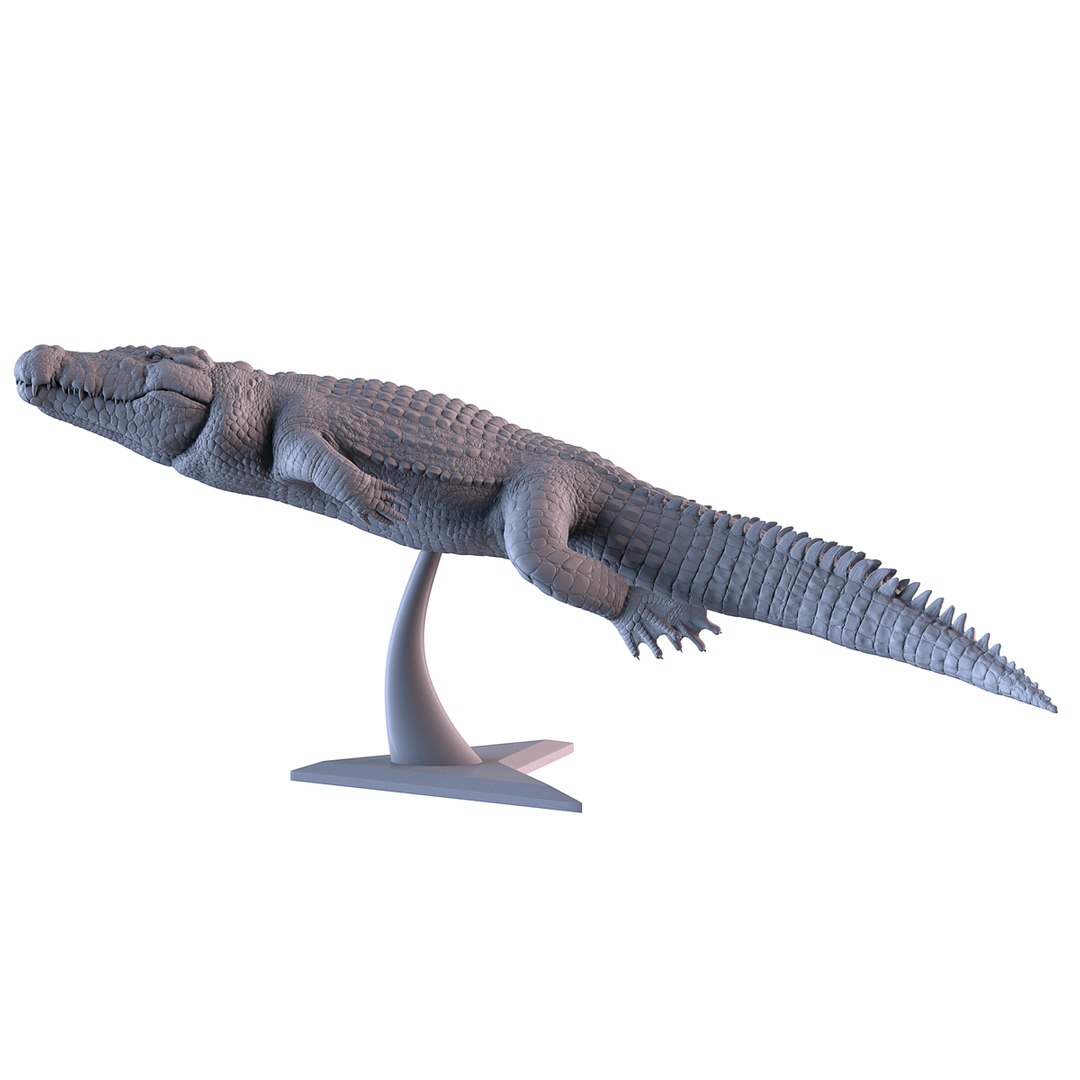 Crocodile Printing 3D Model - TurboSquid 1647366