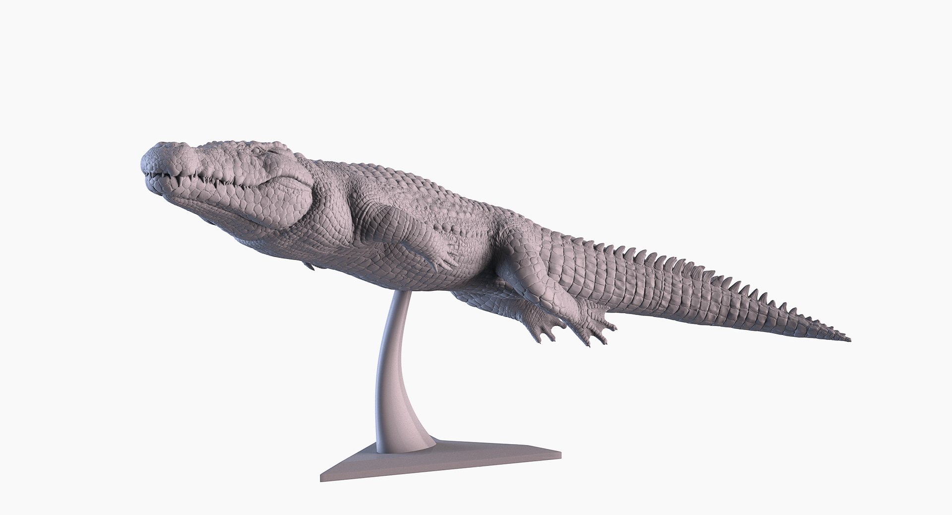 Crocodile Printing 3D Model - TurboSquid 1647366