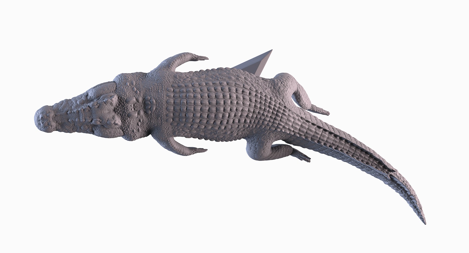 Crocodile Printing 3D Model - TurboSquid 1647366