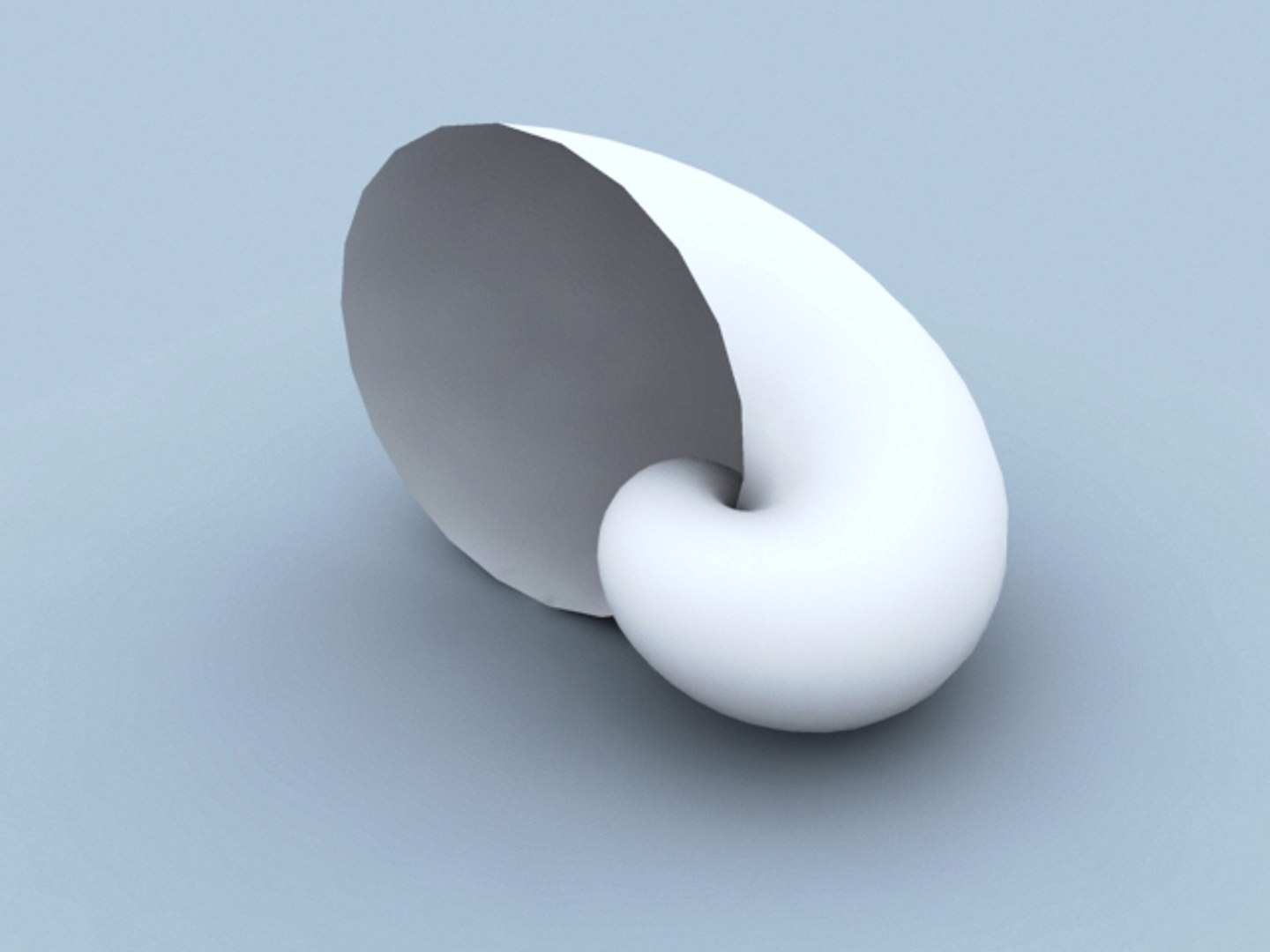 Shell Spiral Object 3d Model
