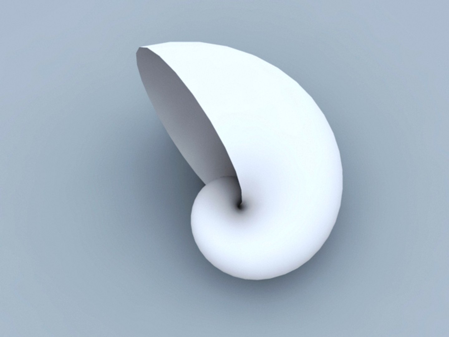 Shell Spiral Object 3d Model