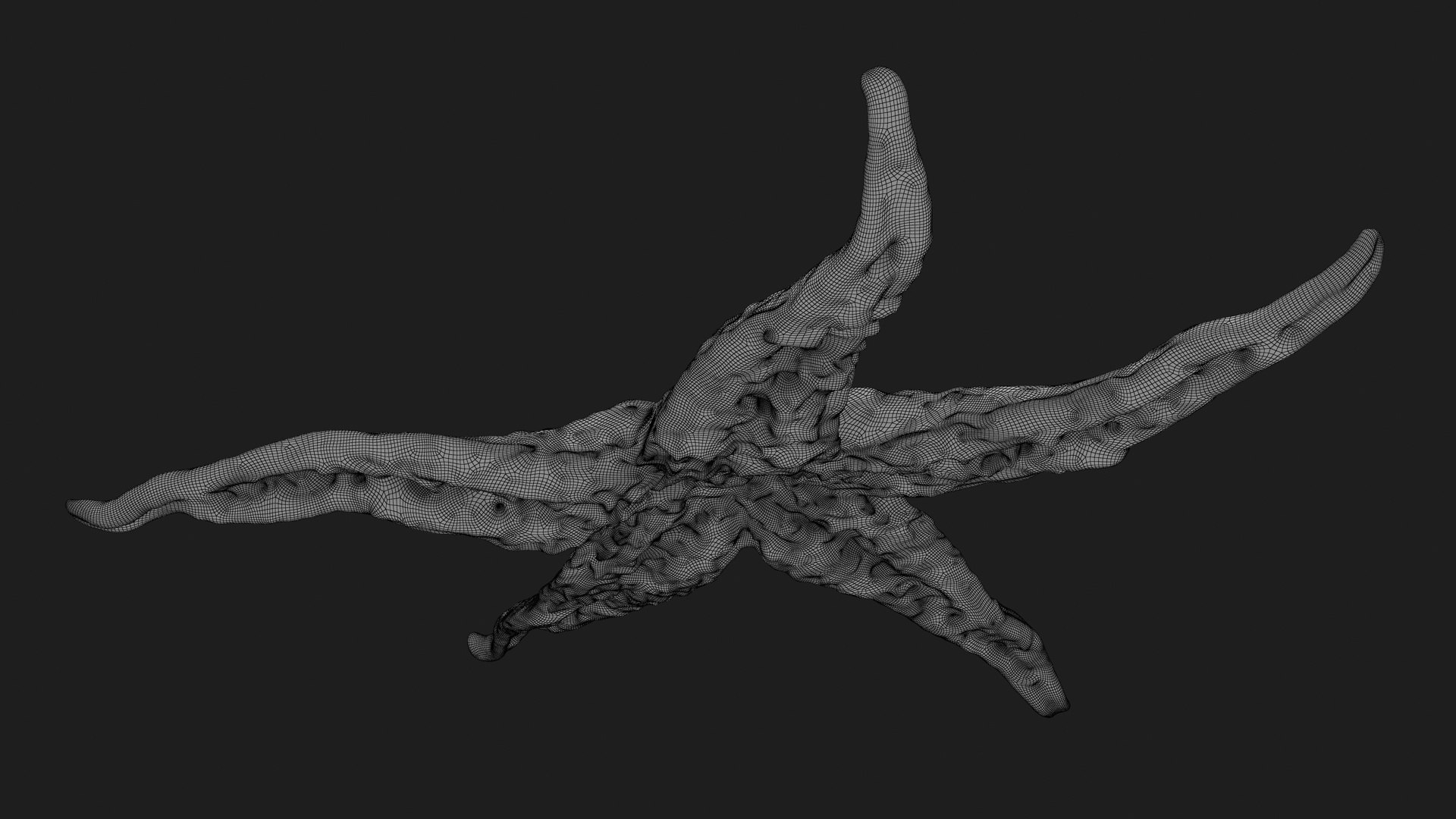 Common Starfish 01 3D Model - TurboSquid 2317532