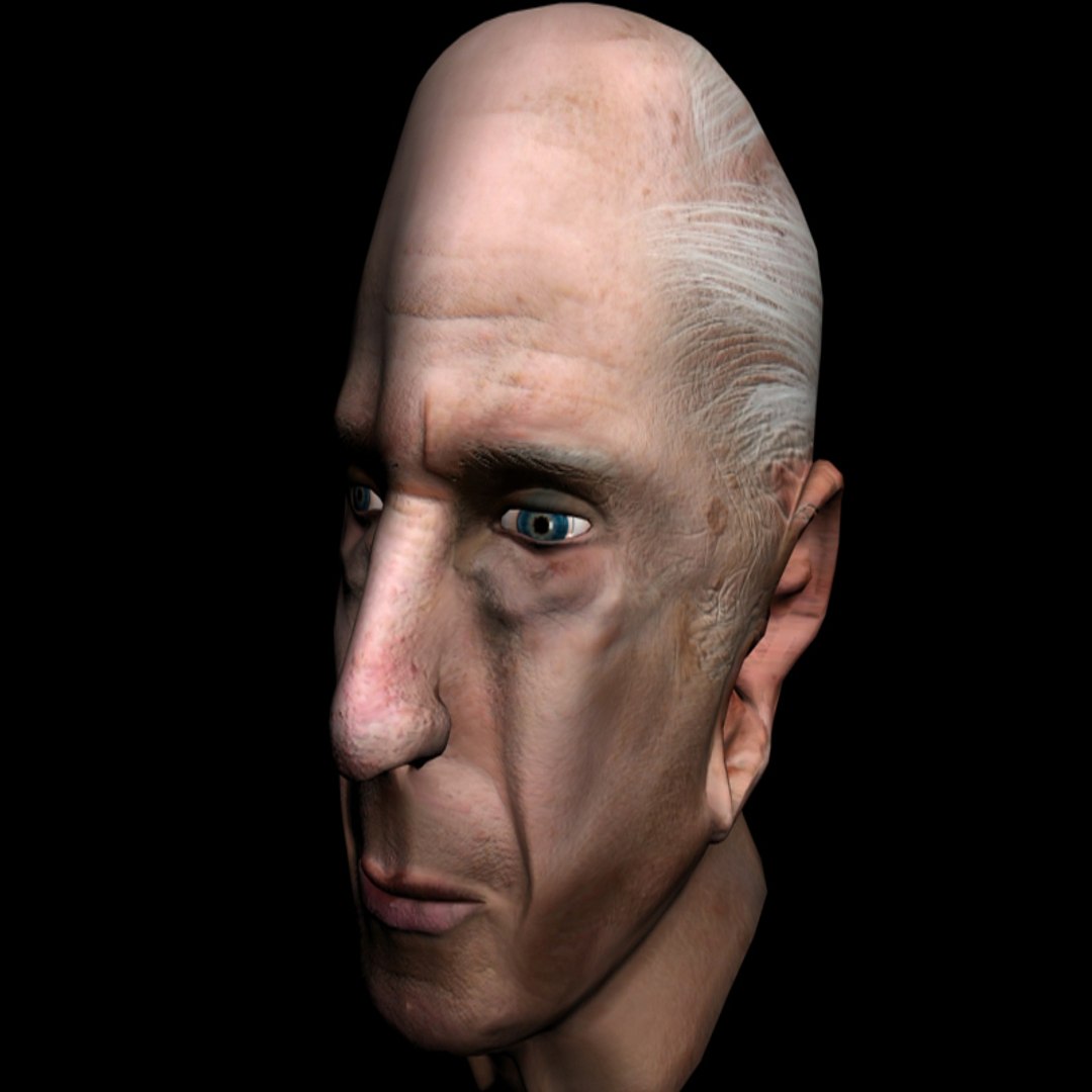 3d Human Head Model