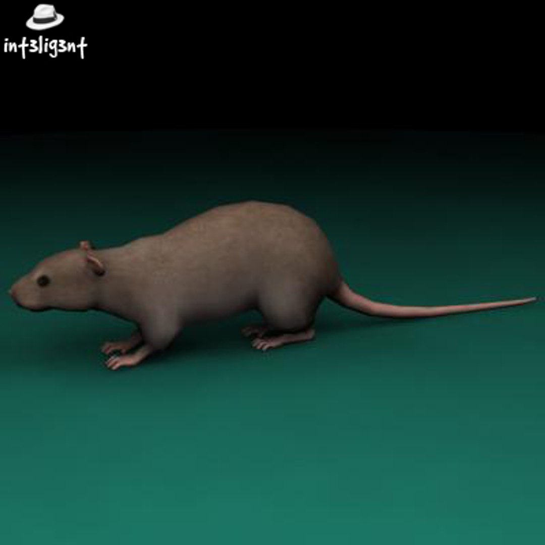 rat 3d 3ds