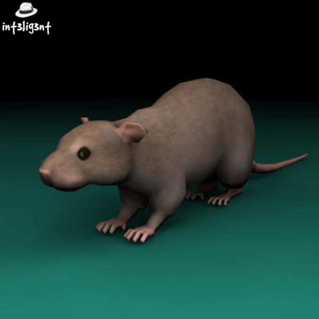 rat 3d 3ds