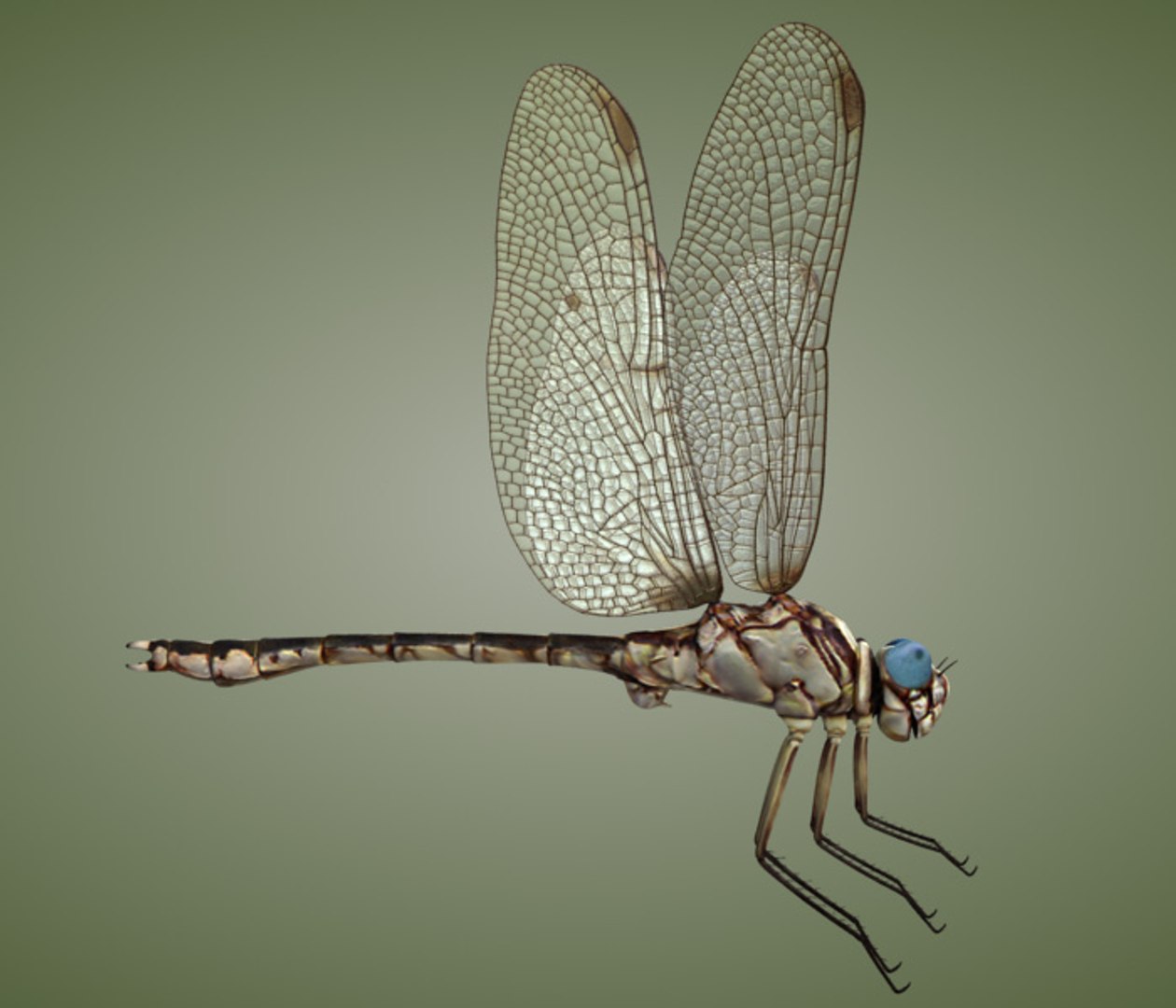 Dragonfly Wings 3d Model