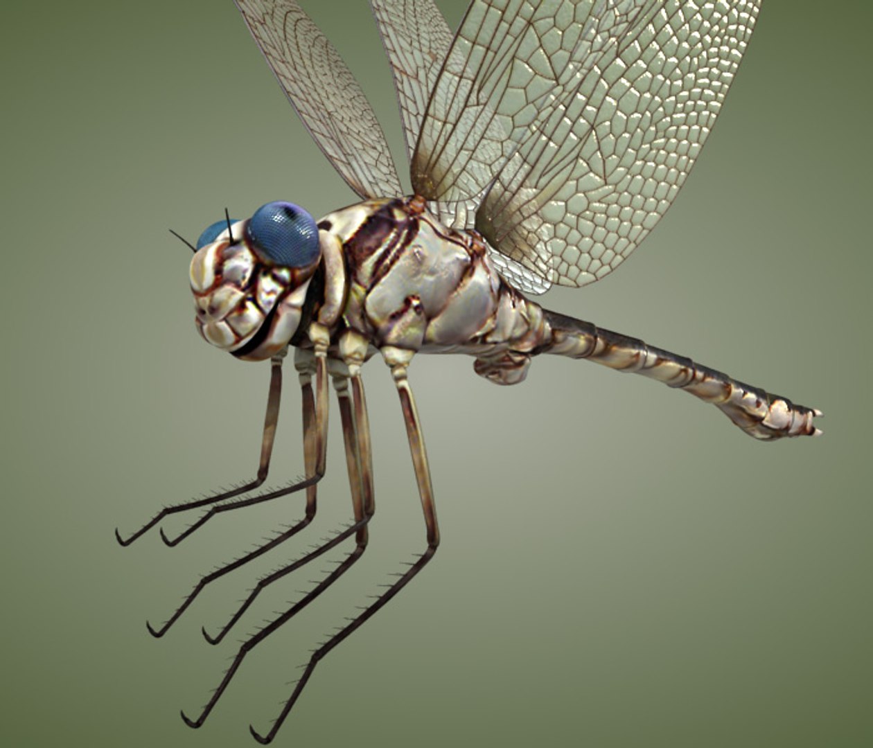 Dragonfly Wings 3d Model