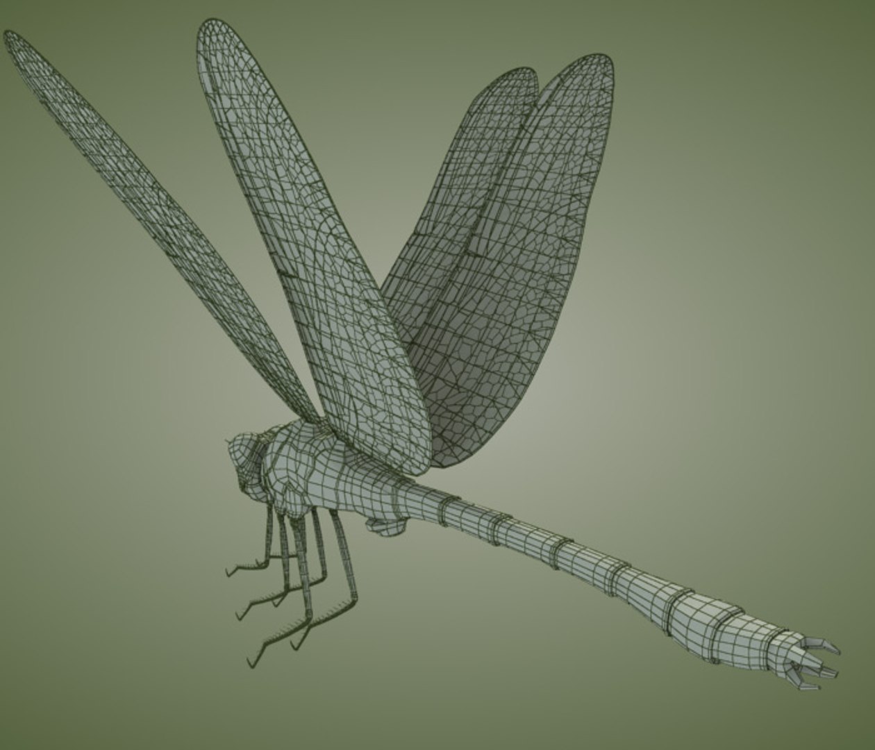 Dragonfly Wings 3d Model